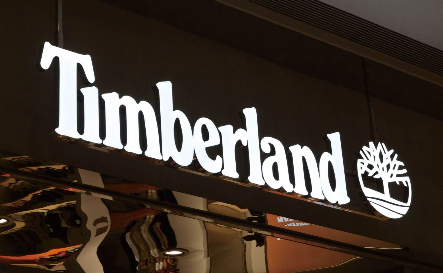 Metal Front Lit Trimless Channel Letters | BusinessSign.Com